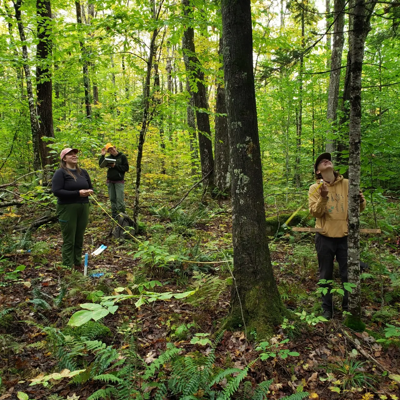 Employment Opportunities | Northwoods Stewardship Center